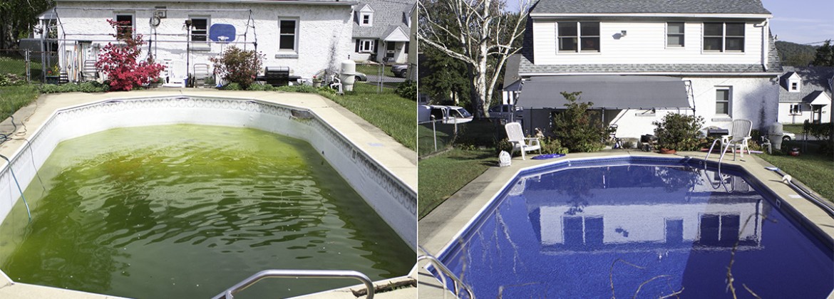- Pacer Pool Service